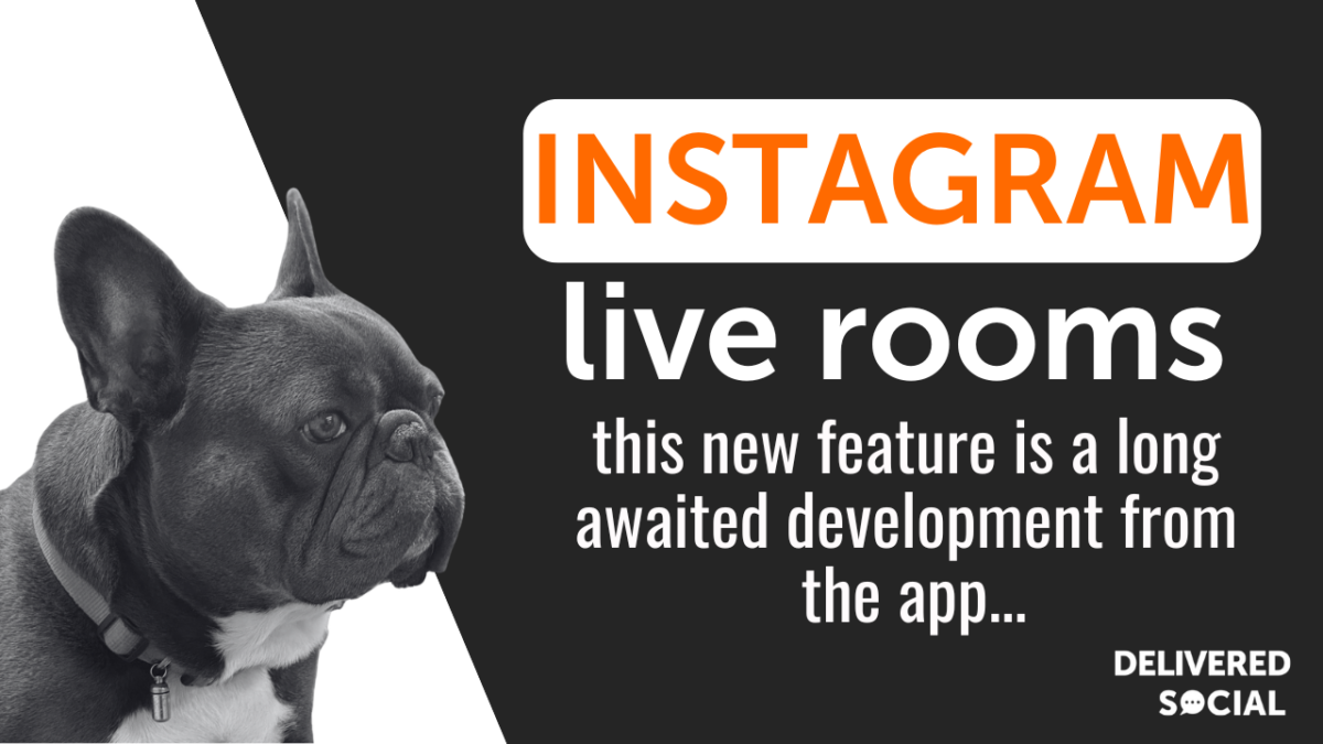 The New Feature You Need To Know: Instagram Live Rooms | Delivered Social