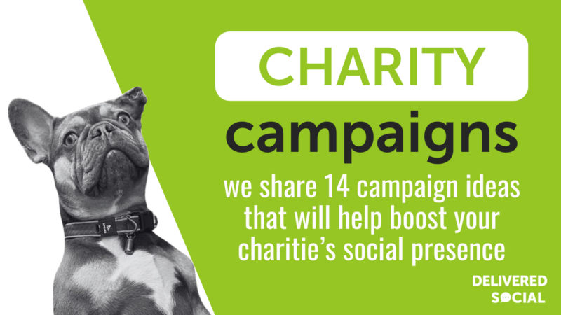 14 Charity Social Media Campaign Ideas That'll Have Your Audience Spinning